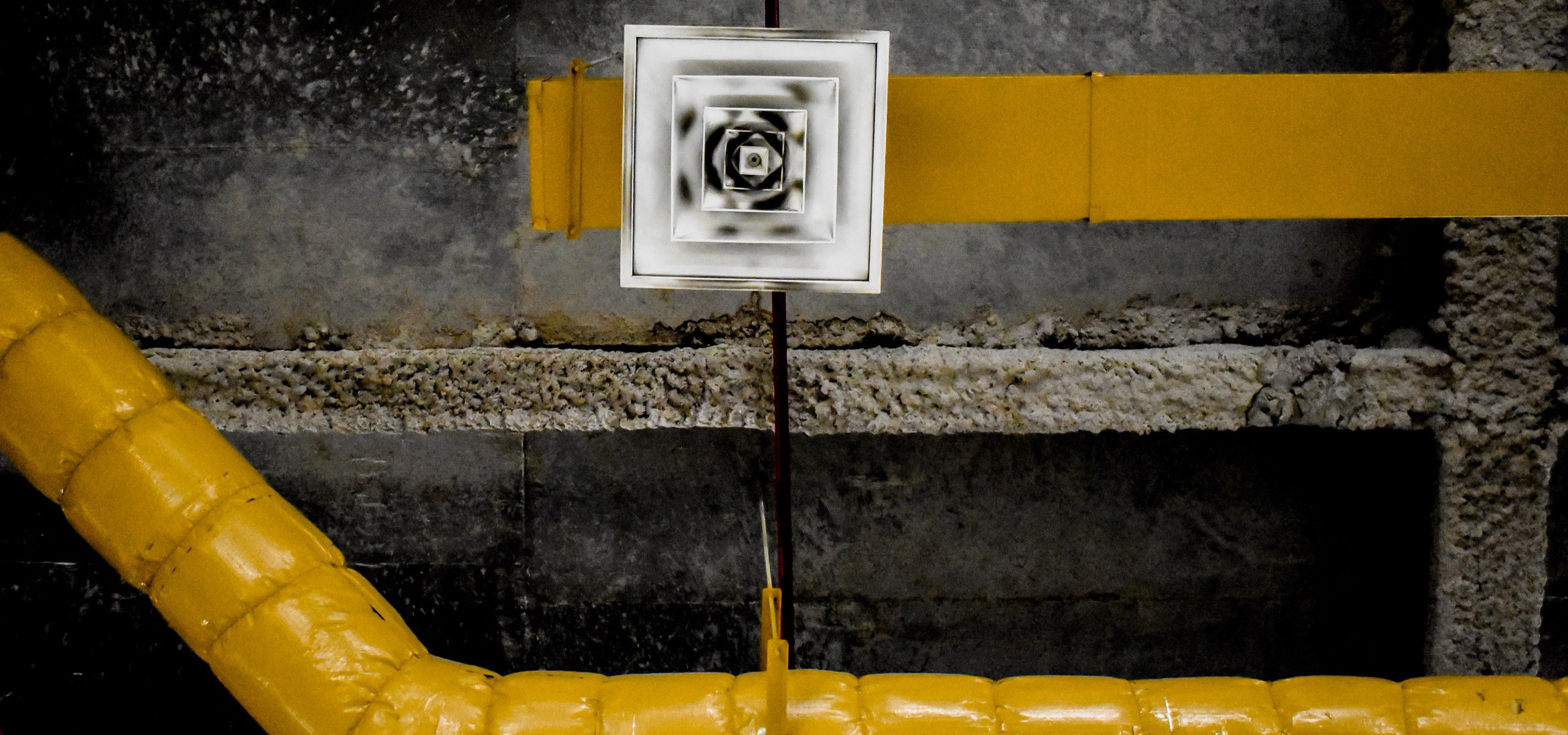 Mold in Mechanical Chases - FIRST ONSITE (US)